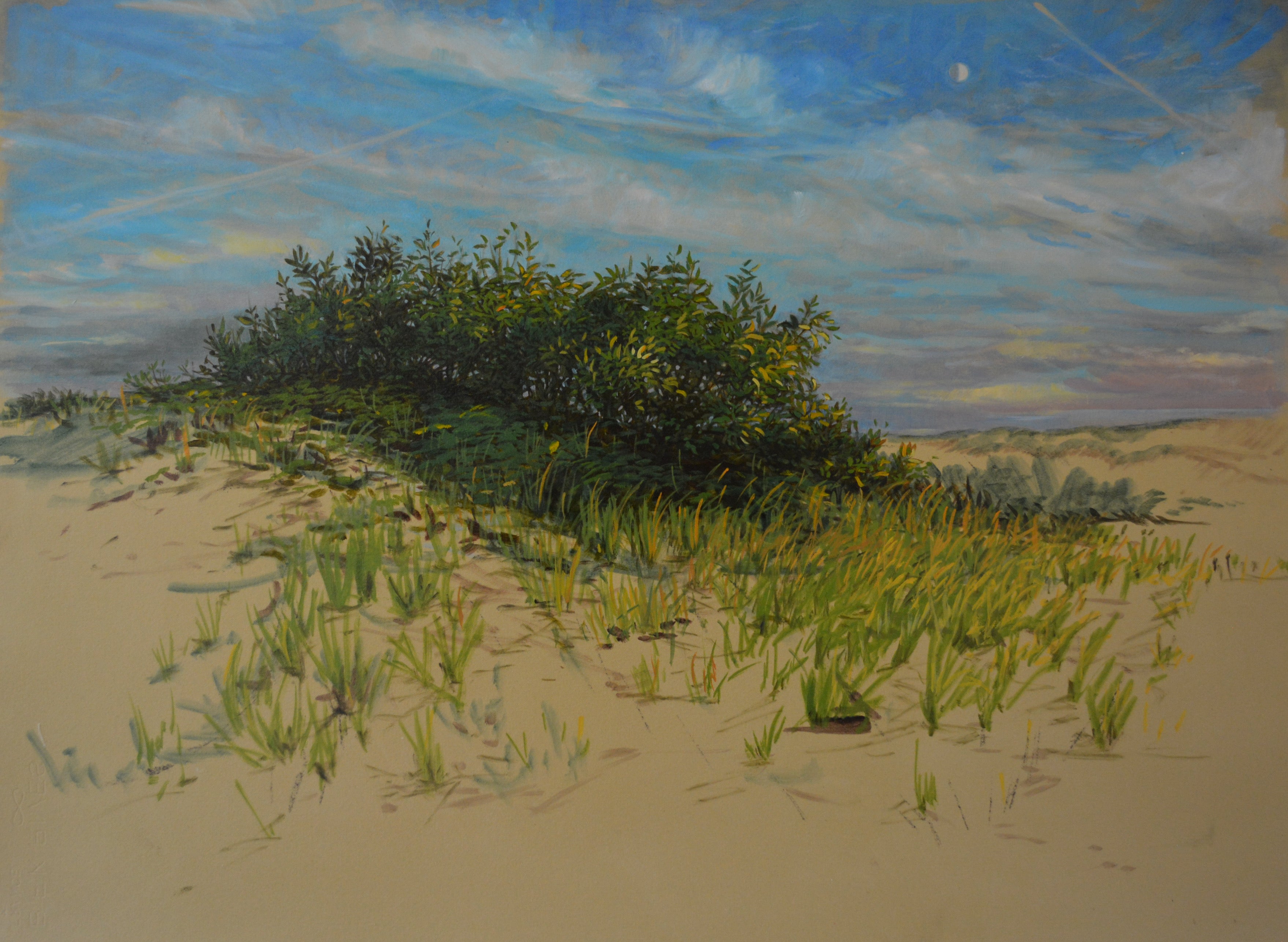 'Living On The Edge" | RISD Alumni